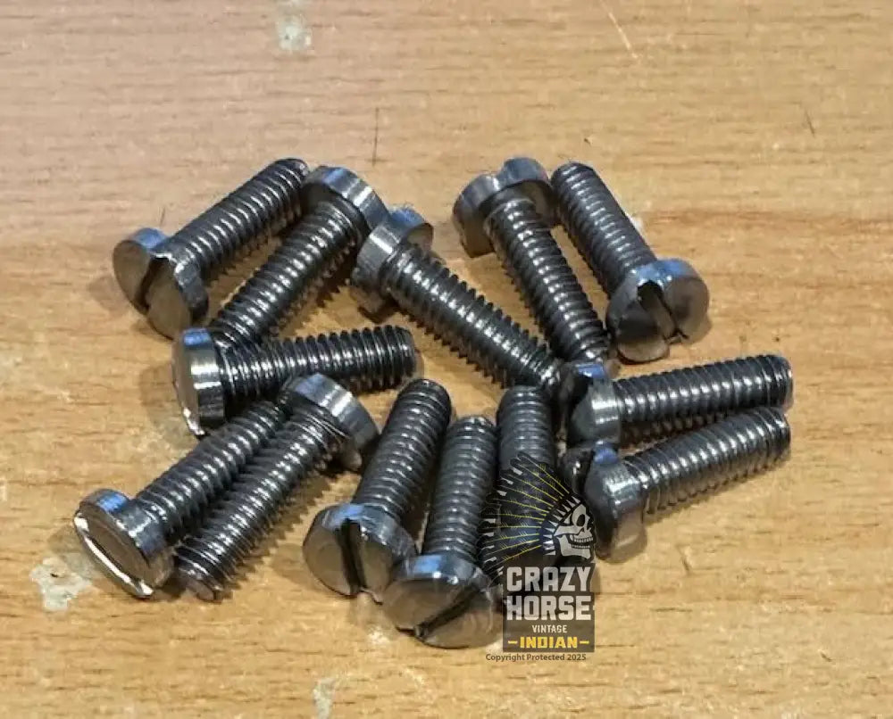 E1014K CHIEF CAM COVER SCREW SET – Crazyhorse Indian